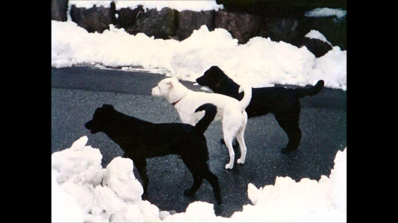 童謡 ♪雪 A Japanese children's song "Snow" or "Yuki" - YouTube