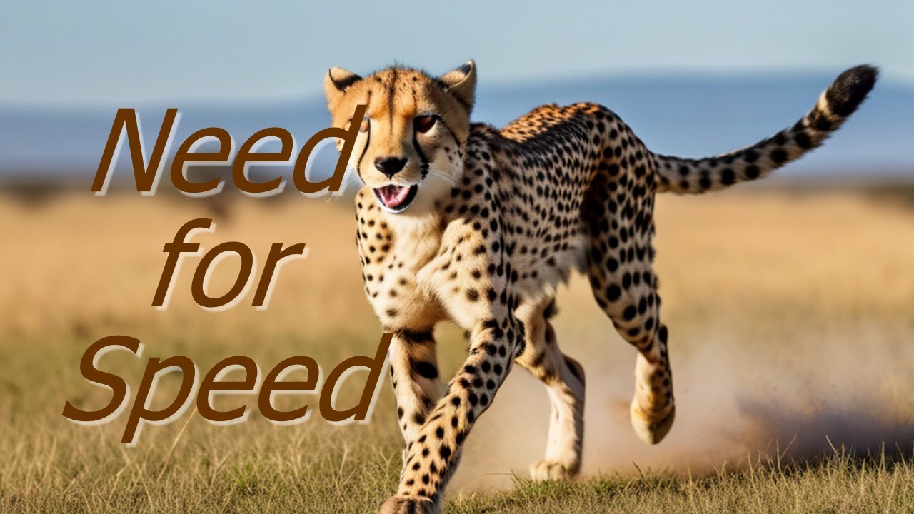 Speed and Grace: The Cheetahs of the Serengeti - YouTube