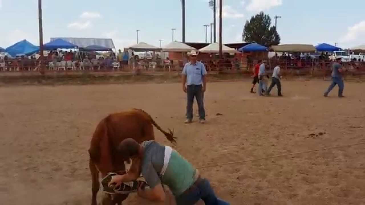 2014 Calf Dressing at Flake Rodeo, Snowflake, AZ - YouTube
