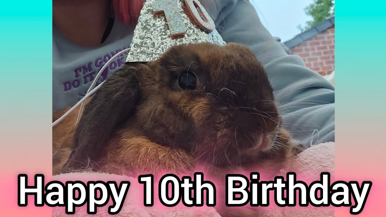 Happy 10th Birthday Elsa - YouTube