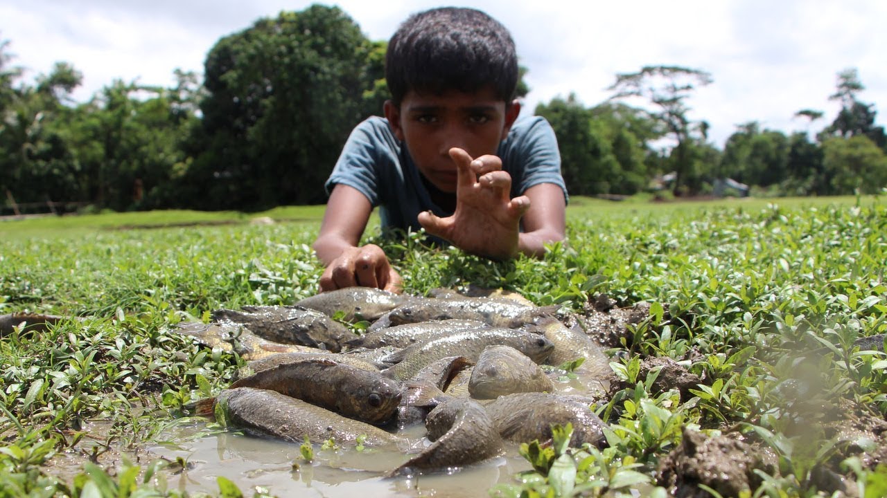 Boy Caught the Fish | Unbelievable ! A Lot Of Catch Fish Coming with ...