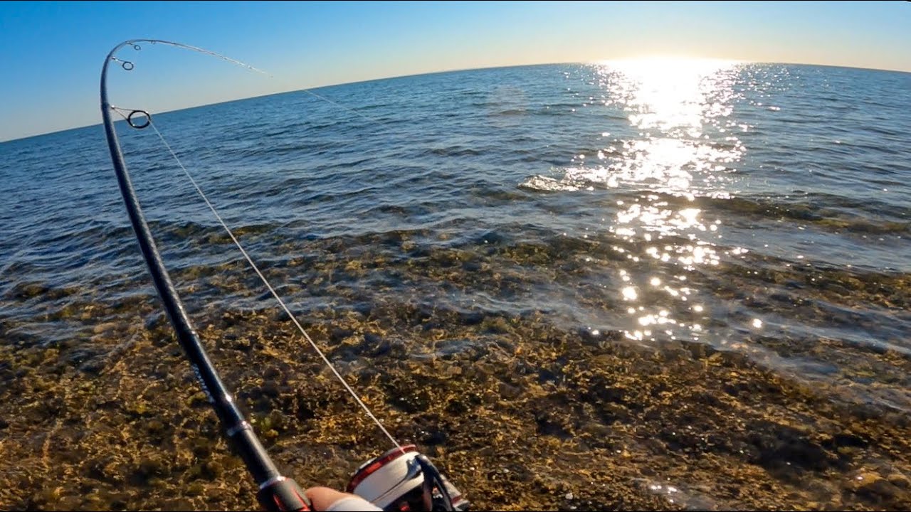 WILDERNESS Island Adventure Day 1 | Fishing the Exmouth Gulf - YouTube