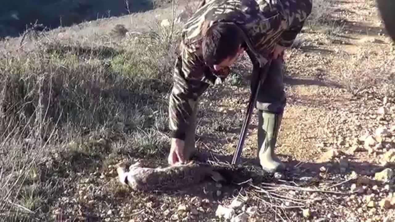 kinigi lagou (the barbarian team) - YouTube