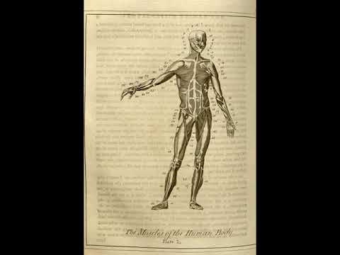 The Dweller in the Body Esoteric and Occult Lecture by Manly P  Hall #spirituality #occultist