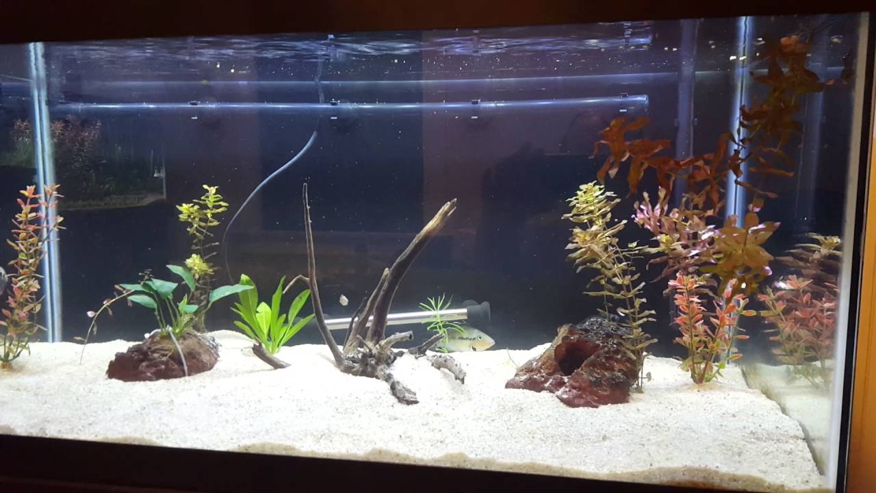 Hydor 350 canister filter. - YouTube