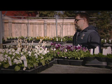 Where is spring in Minnesota this year?