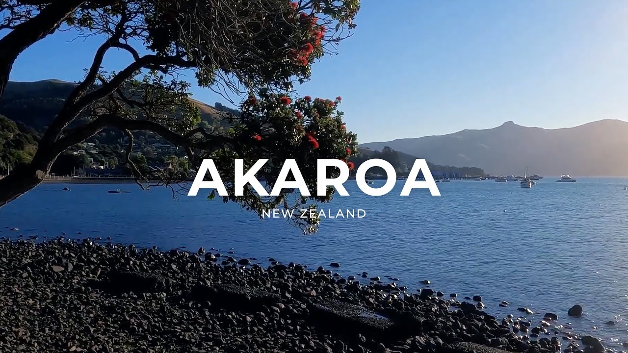 Akaroa, a french gem in the South Island of New Zealand - YouTube