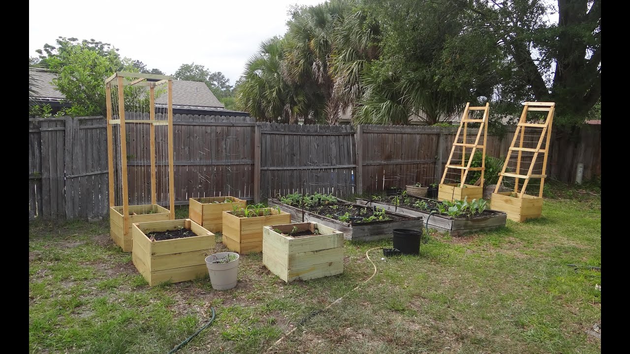 How I'm Growing Peas on a Vertical String Trellis in a Raised Garden ...