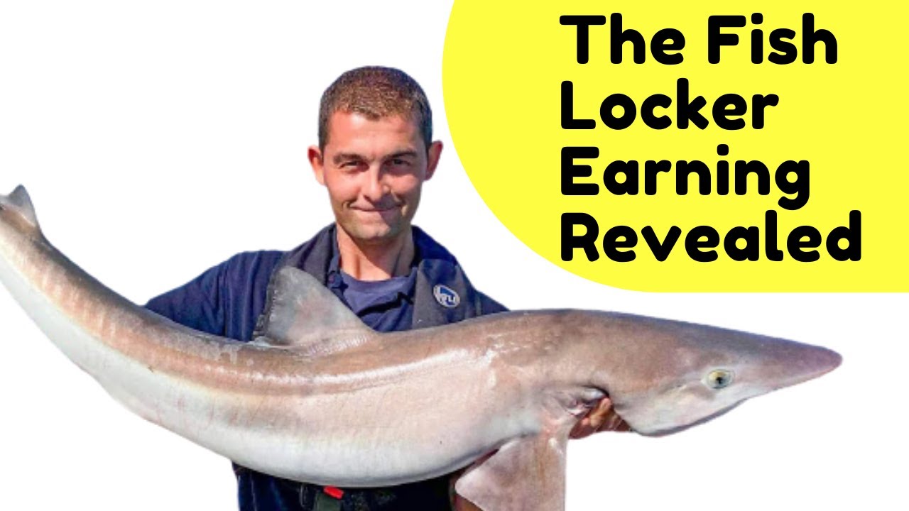 The Fish Locker Earning Revealed | How Much Money The Fish Locker ...
