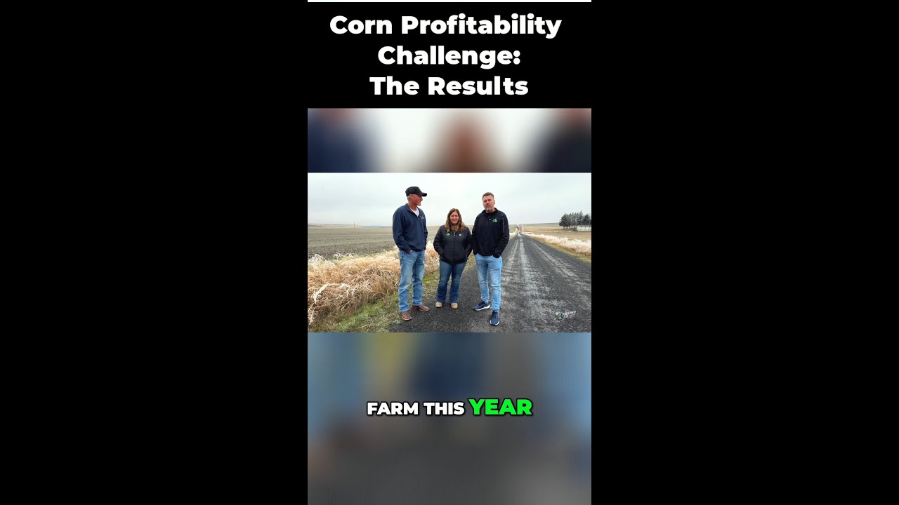Three different corn fertility programs. What did Chad learn? - YouTube