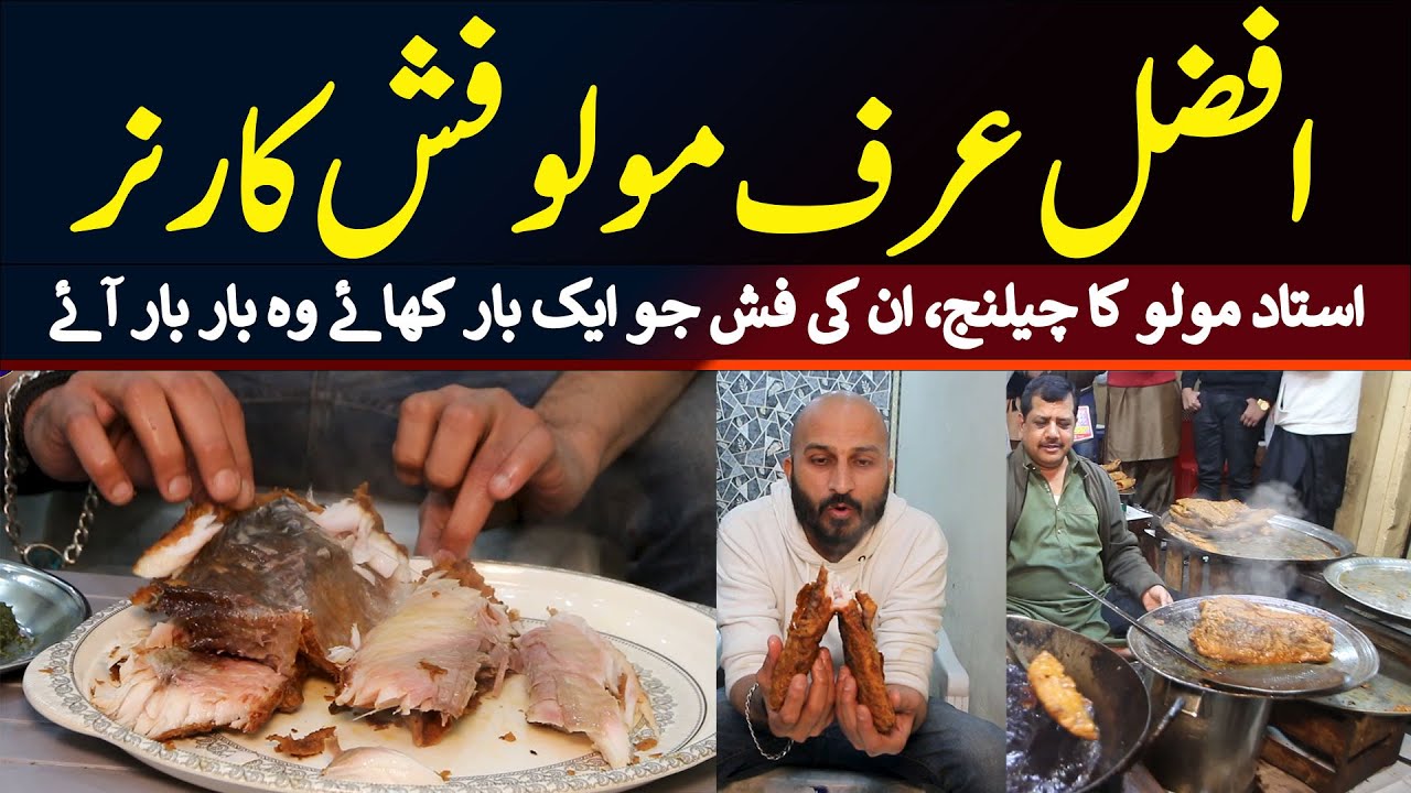 Can Molo’s Fish Corner Make You Come Back for More? | A Vlog Experience ...