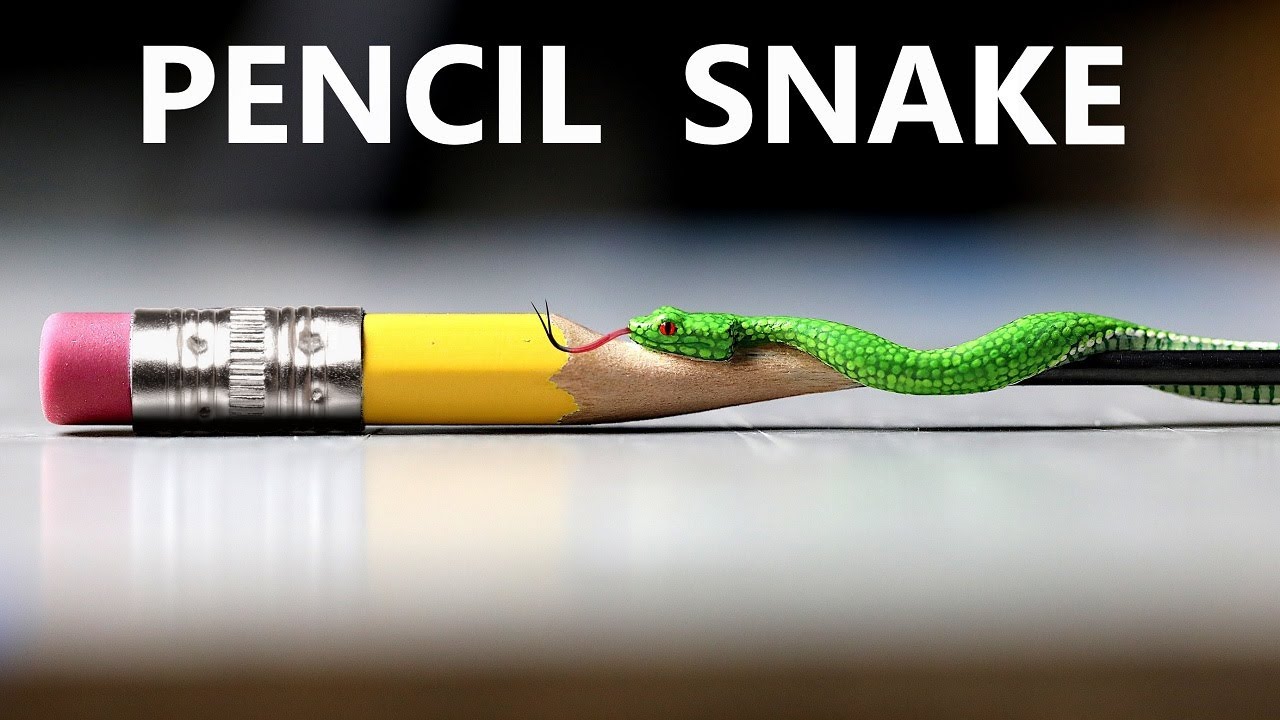 Carving a Snake Into a Pencil