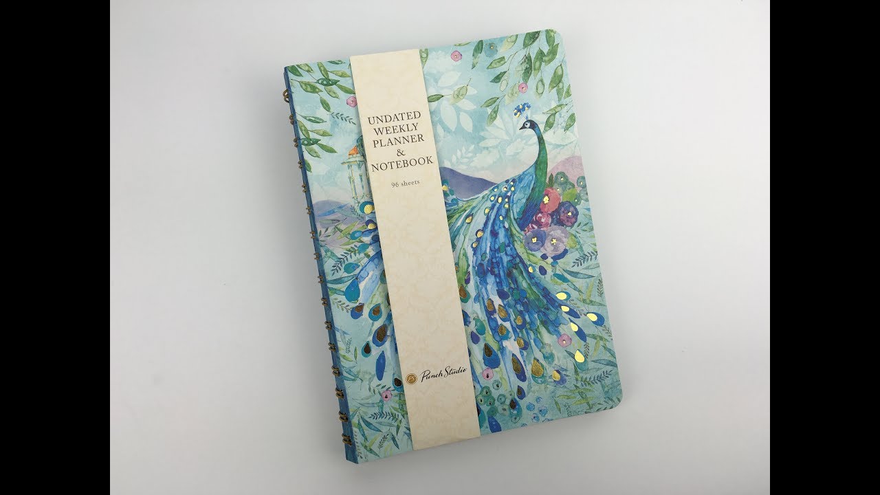 Punch Studio Planner Review (Pros and Cons) - YouTube