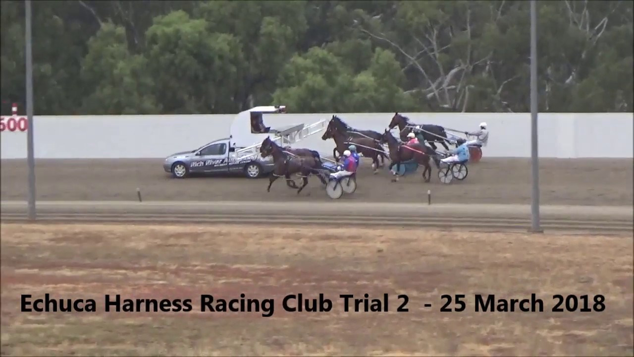 Echuca Harness Racing Club Trial 2 25 March 18 - YouTube