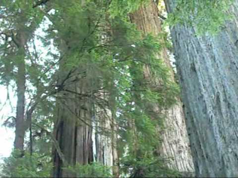 Largest natural pendulum in the world! - YouTube