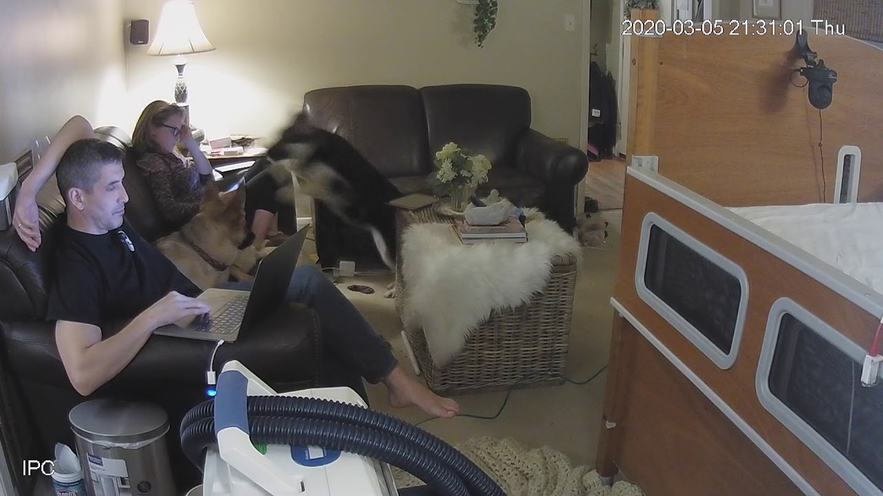 Izzy jumping on Zoe - YouTube