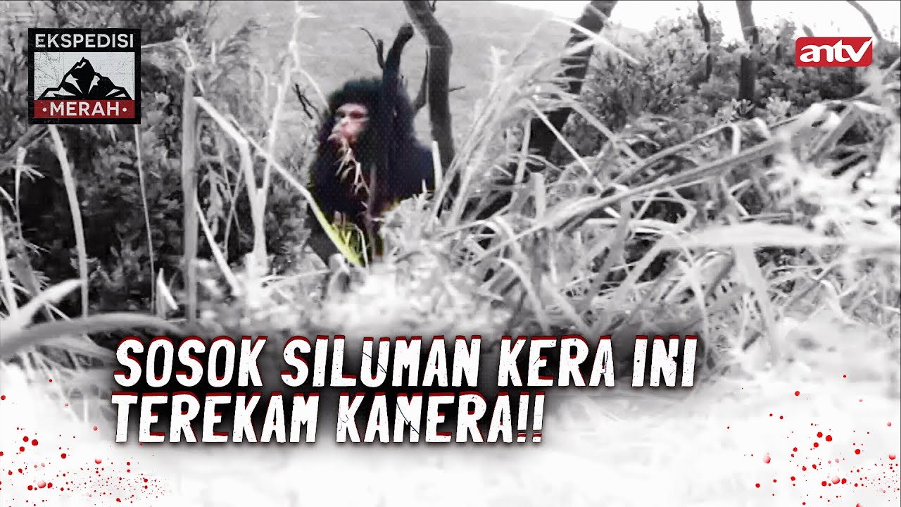 Misteri Siluman Kera | Ekspedisi Merah Eps 39 FULL - YouTube