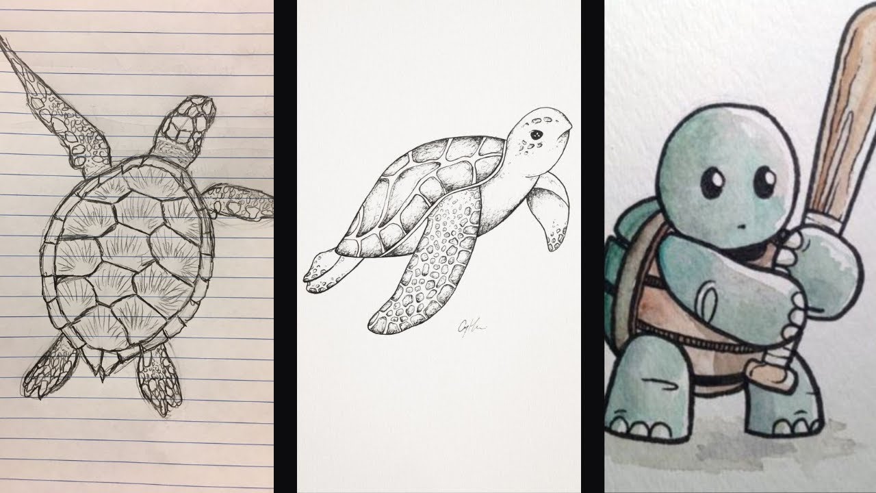 Amazing Sea Turtle Drawing - Cute Turtle Drawing Inspirations! - YouTube