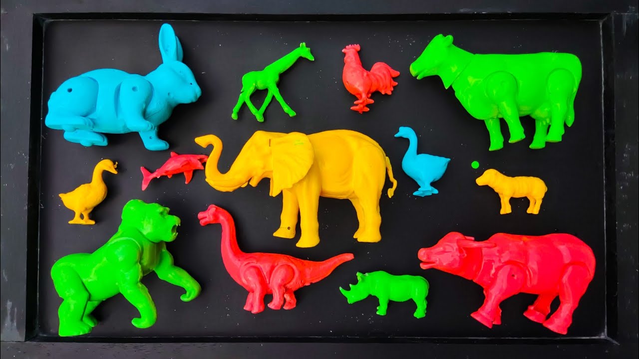 Membersihkan hewan sapi gajah kingkong dinosaurus kelinci bebek angsa ...