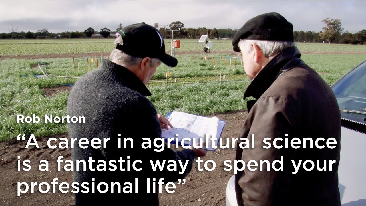 Rob Norton: Rob’s career - YouTube