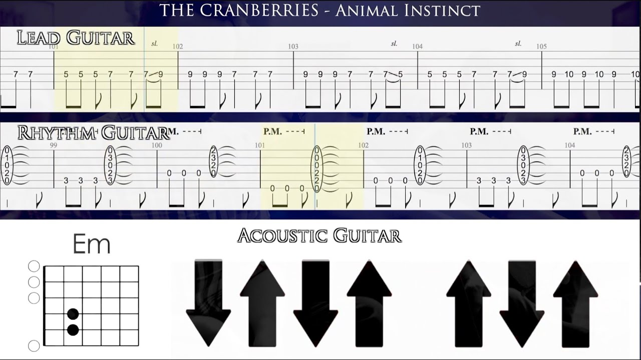 THE CRANBERRIES - Animal instinct [GUITARLESS BACKING TRACK + TAB ...