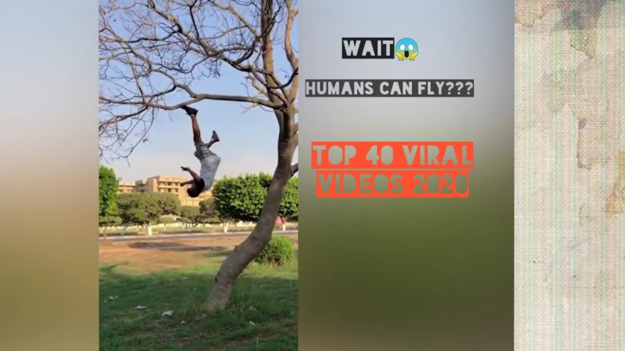 Top viral videos 2020😱 - YouTube