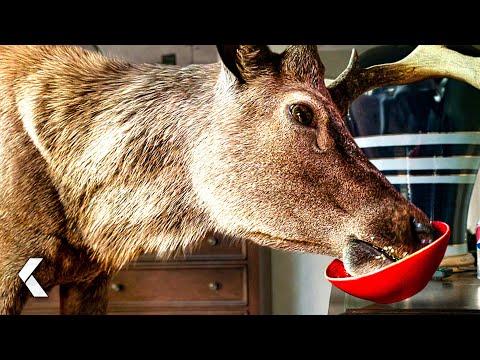 Deer In the House Scene - Grown Ups 2 (2013)