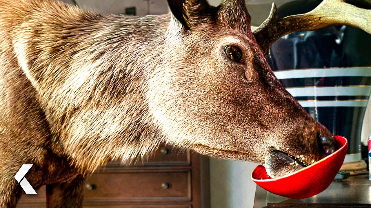 Deer In the House Scene - Grown Ups 2 (2013) - YouTube