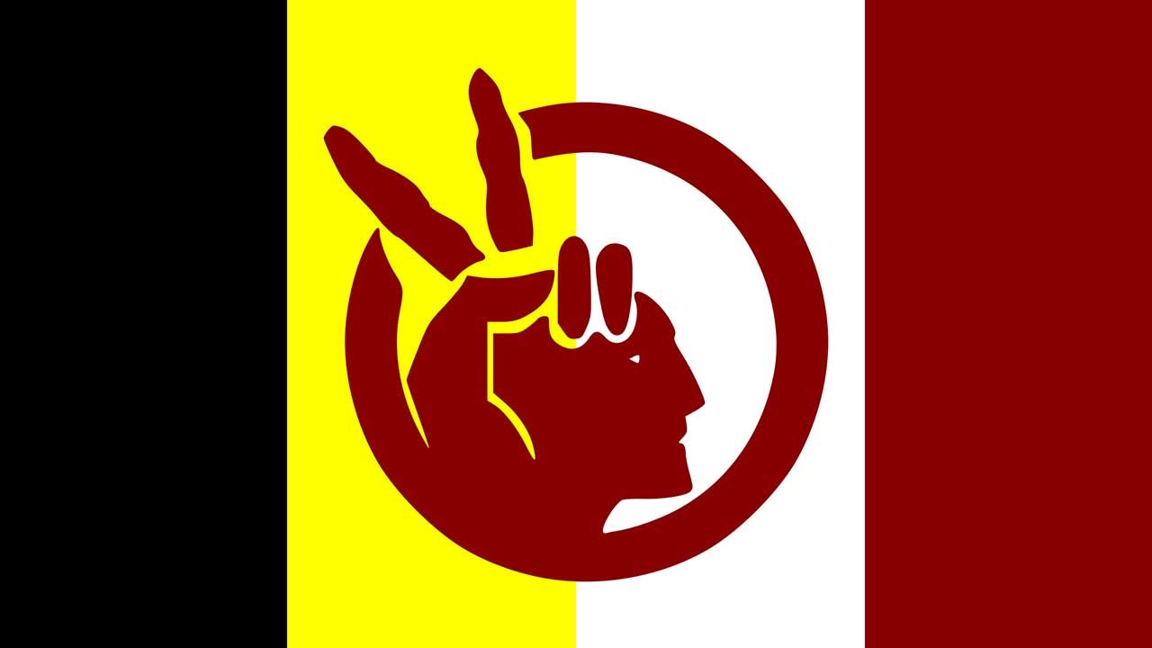 Administration - Past: Brief Historical Context - Red Power Movement ...