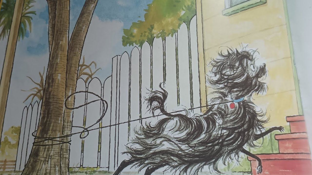 Hairy Maclary's showbusiness by Lynley Dodd - YouTube