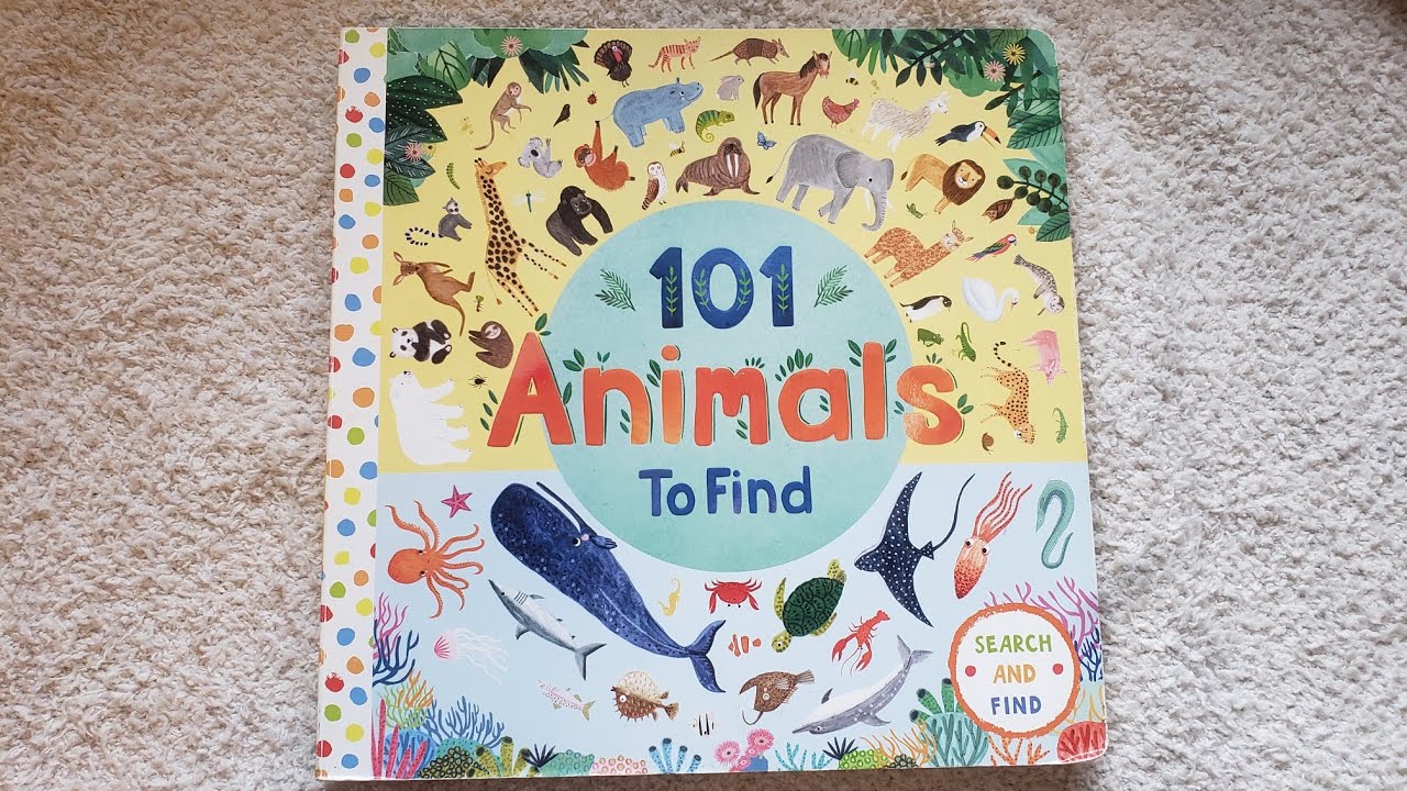 101 Animals to Find | Search and Find Book | Book Flip Through - YouTube
