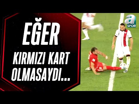 Haldun Domaç: \