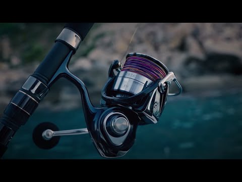 21 DAIWA CERTATE SW 5000-H | REEL REVIEW - YouTube