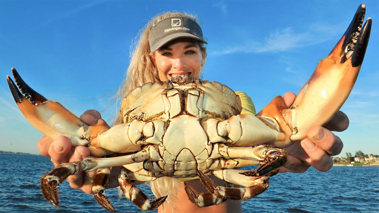 JUMBO CLAWS! Best of 2021 Florida Stone Crab Catch & Cook! - YouTube