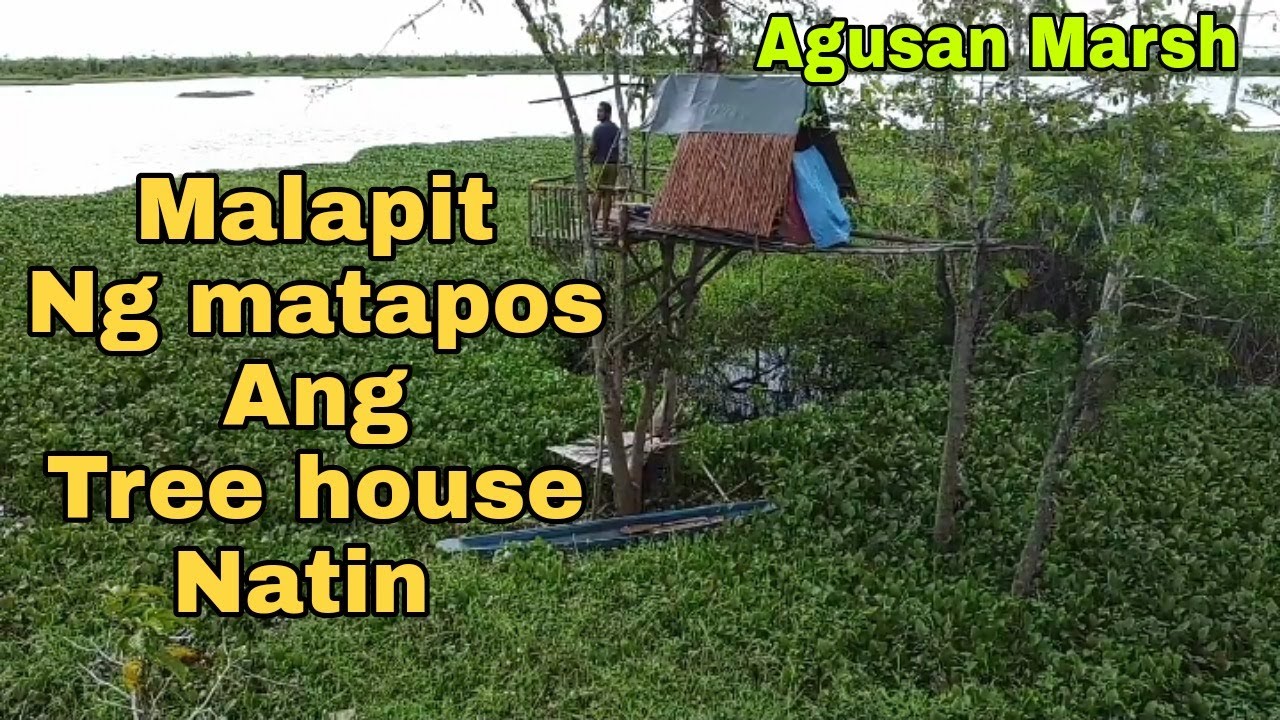 MALAPIT NG MATAPOS ANG TREE HOUSE NATIN - YouTube