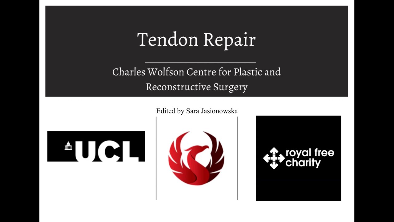Tendon repair 2-stranded Kessler technique (animal model) - YouTube