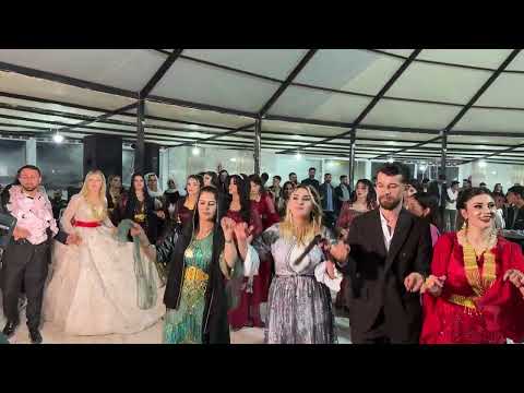 Grup Nihat Silopi / zevgi Aşireti / Tahir Ogru düğünü 
