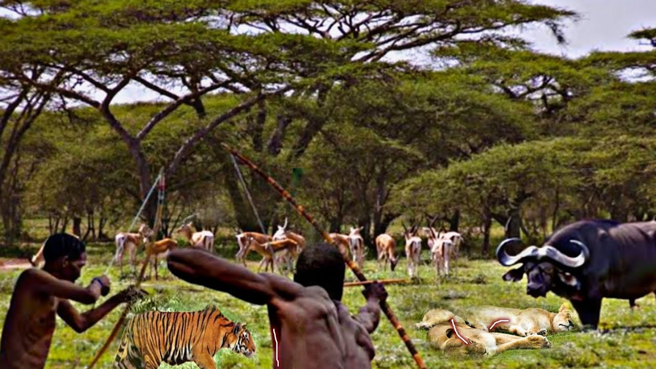 Amazing How Hadzabe Tribes Survive by Buffalo Hunting in the Wild - YouTube
