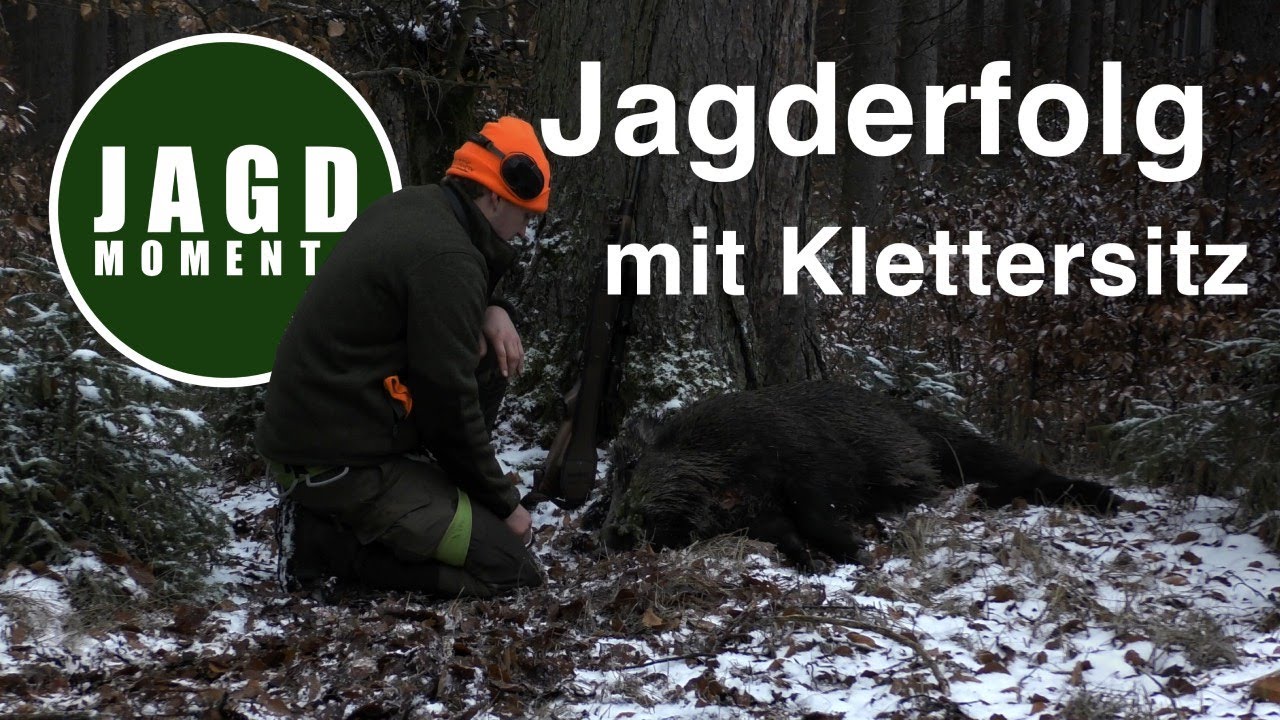 JagdMomente | Folge 11 | Jagderfolg mit Klettersitz | JagenNRW - YouTube