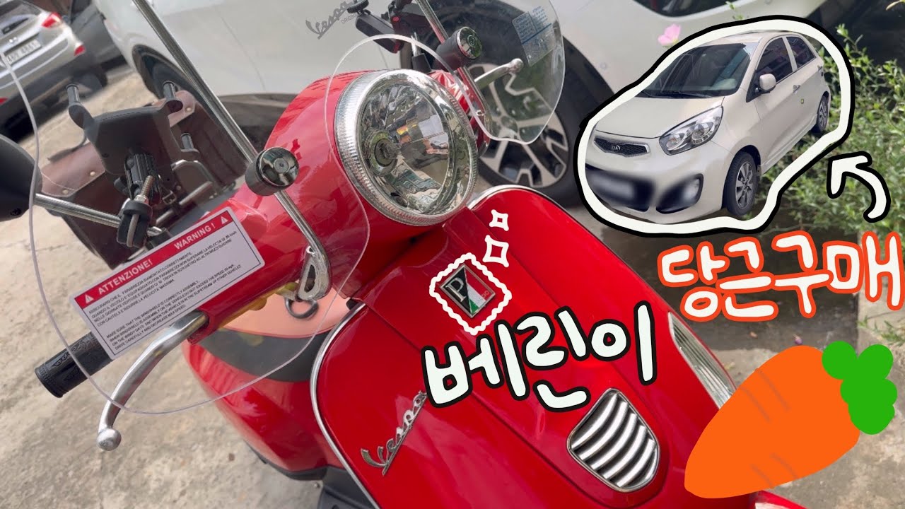 Vlog 당근거래브이로그ㅣ베린이 당근거래후기 중고차구매🥕 위협운전에 빡쳐서 중고차 당근직거래 오토바이용품 베스파튜닝 앰블럼