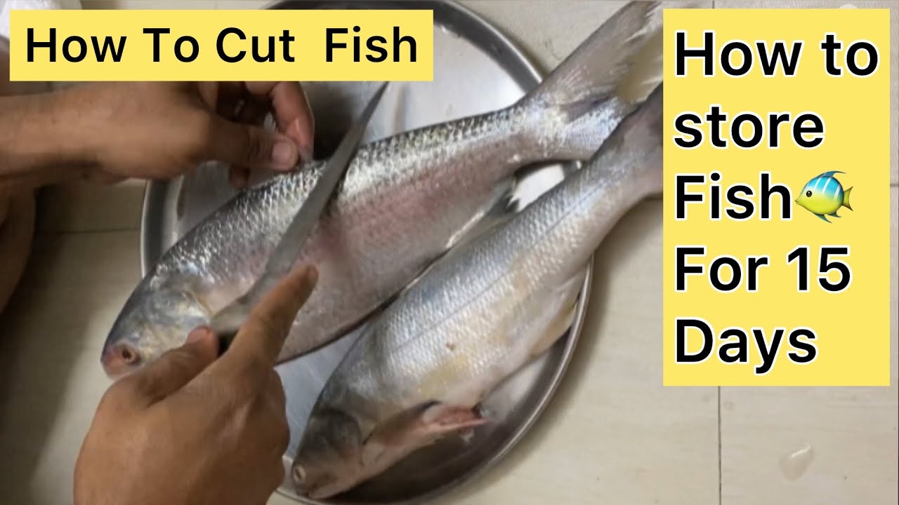 🐠How To Cut & Store Fish for 15 Days| Fish Kaise Store kare |How to ...