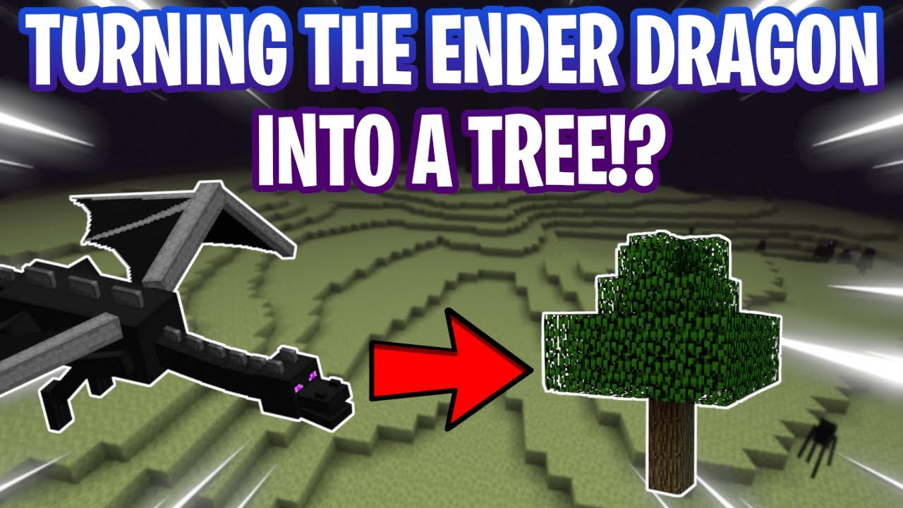 I turned the Ender Dragon into a TREE?!? - Minecraft Crazy Craft on ...