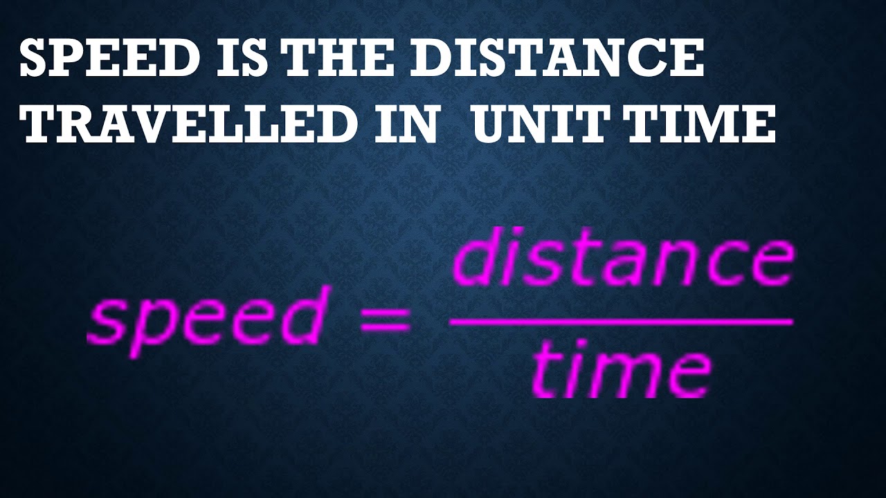 Class V Mathematics:Lesson 1 The Fish Tale - YouTube