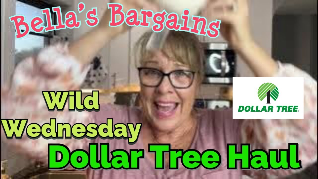 Amazing Small Dollar Tree Haul, Wild Wednesday - YouTube