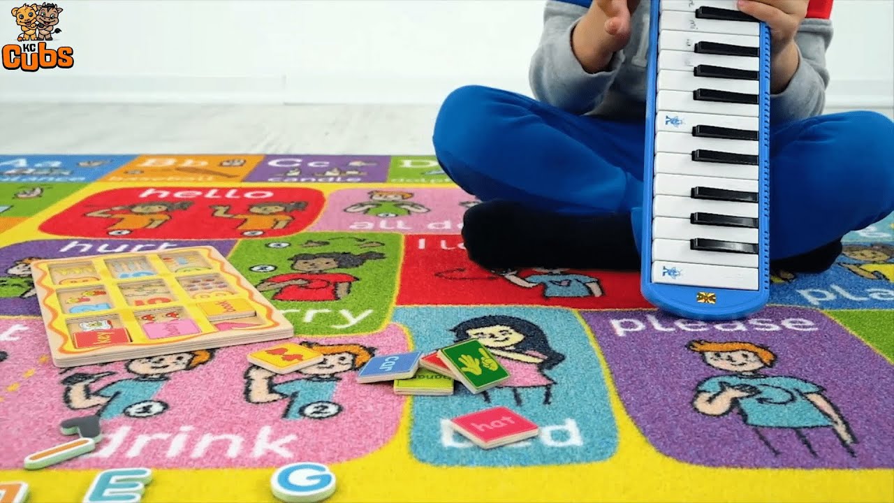 Playtime Collection ABC Alphabet ASL Sign Language Educational Learning ...