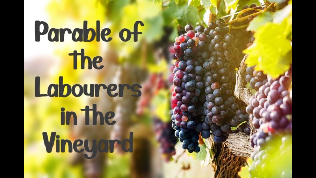 Parable of the Labourers in the Vineyard | Bible Stories for Kids - YouTube