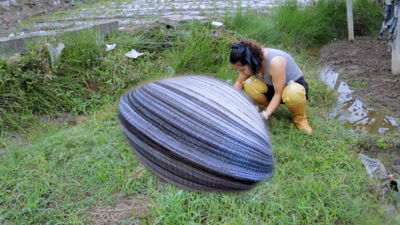 Inside the giant black mutant clam, there are enchanting black pearls ...