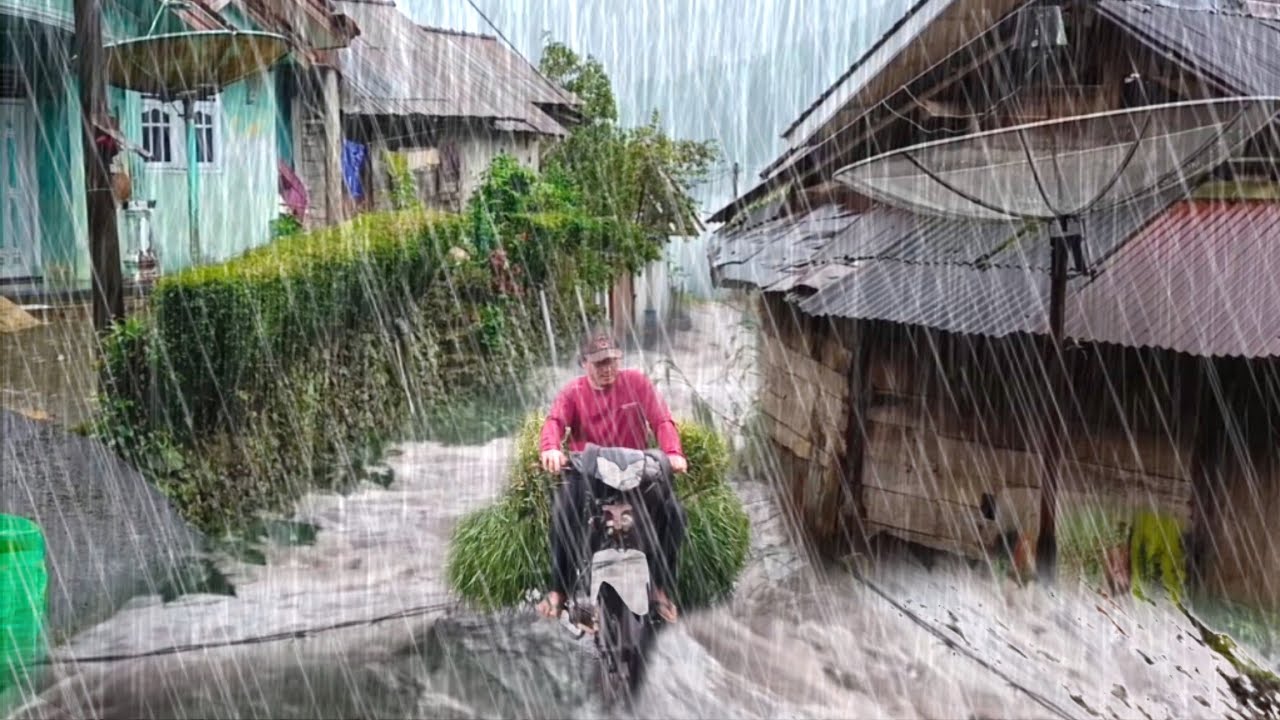 Walking in super heavy rain and thunderstorms, Heavy rain in village ...