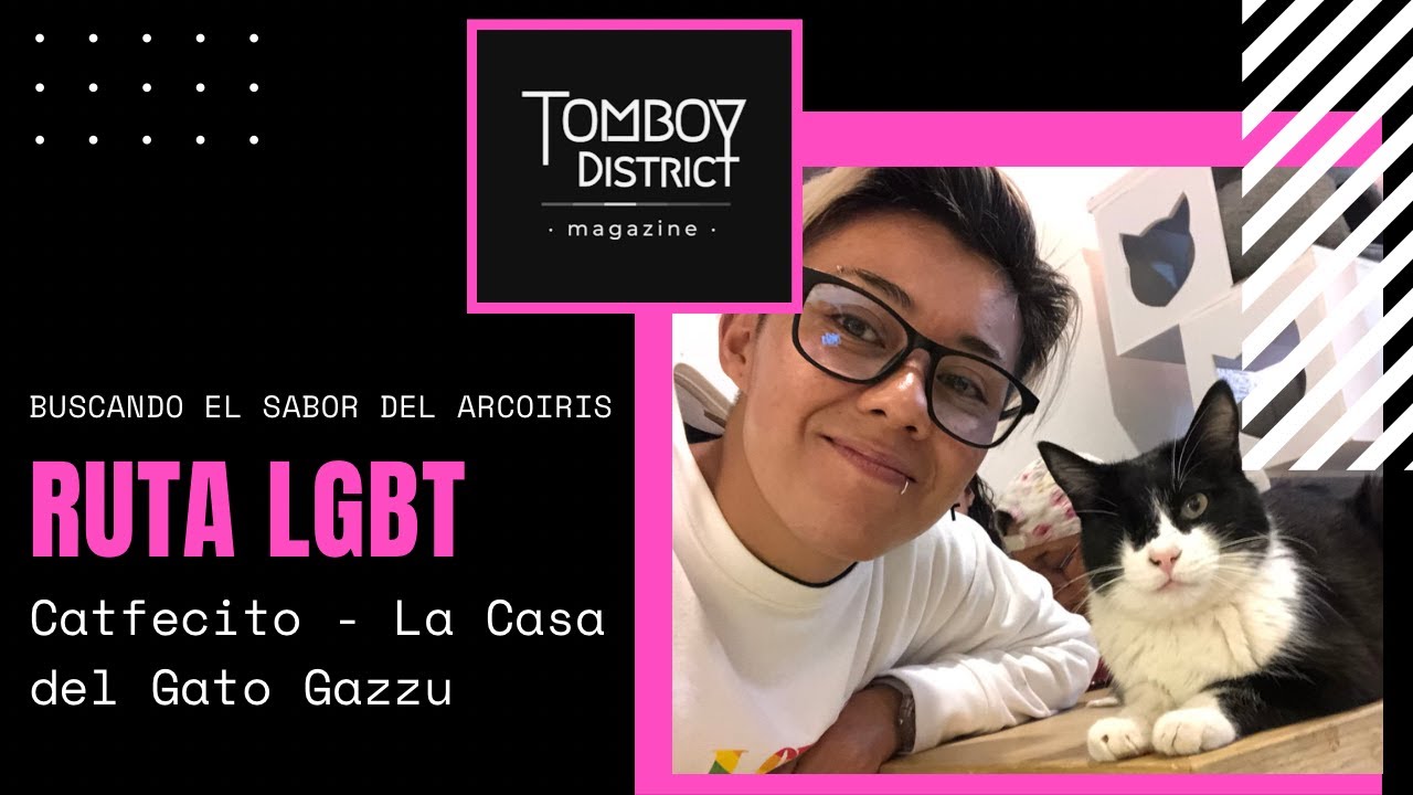 CATFECITO - LA CASA DEL GATO GAZZU - RUTA LGBT - TBDM - YouTube