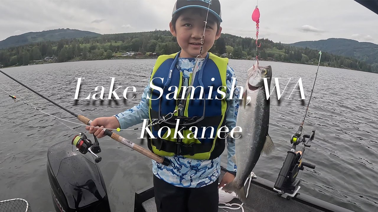 First Kokanee Fishing with our boat on Lake Samish: Caught 22! 5/27 ...